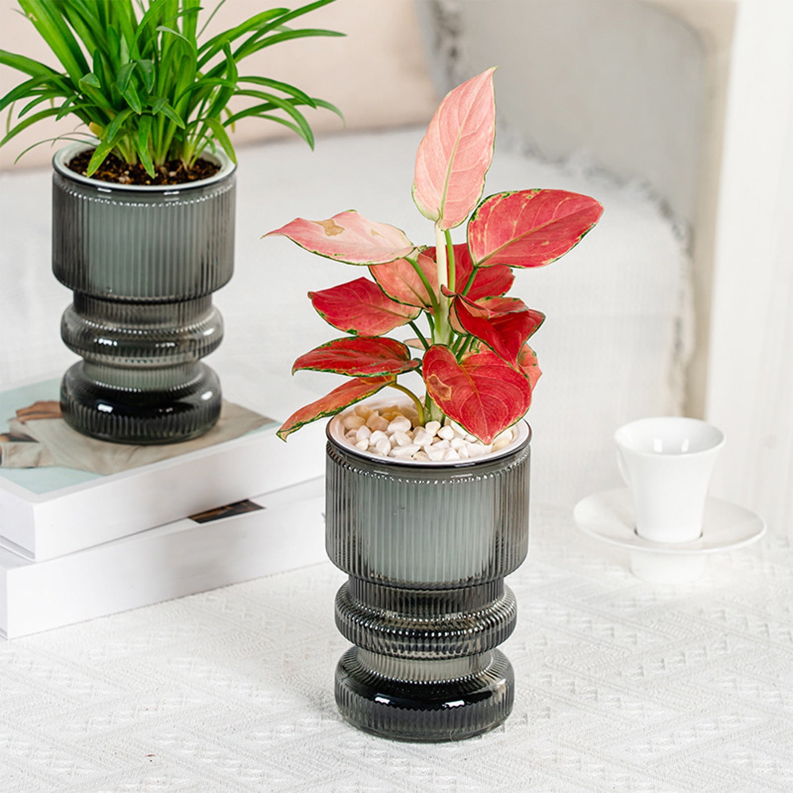 lulshou Transparent Hydroponic Small Potted Plant Pots, Indoor Living ...