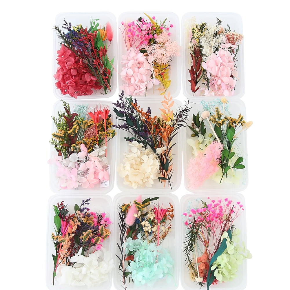 lzndeal Natural Pressed Floral Real Dried Flowers Leaves Set for DIY ...
