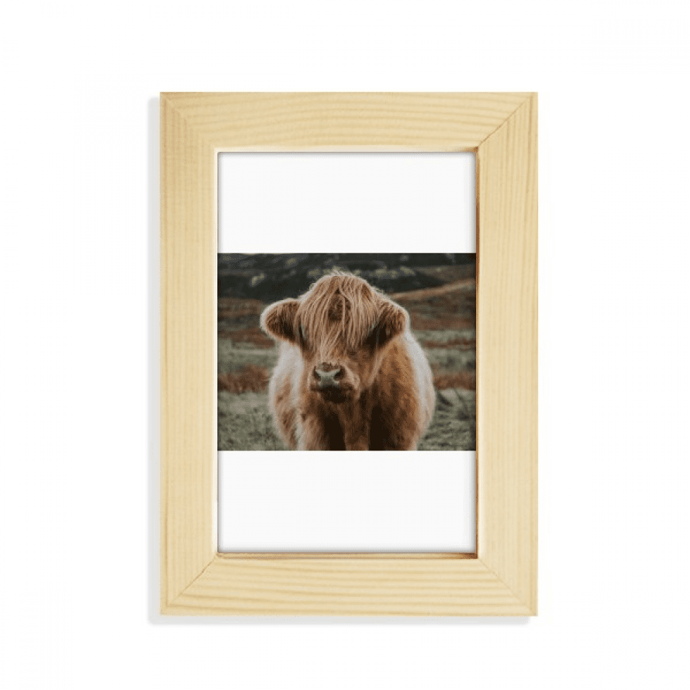 m Animal Buffalo Desktop Display Photo Frame Picture Art Painting 5x7 ...