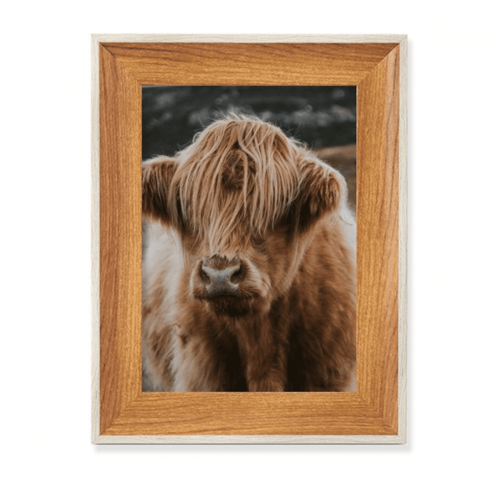 m Animal Buffalo Desktop Wooden Photo Frame Display Picture Art ...