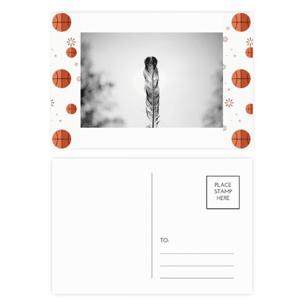 m Animal Feather Basketball Postcard Set Thanks Card Mailing Side 20pcs ...