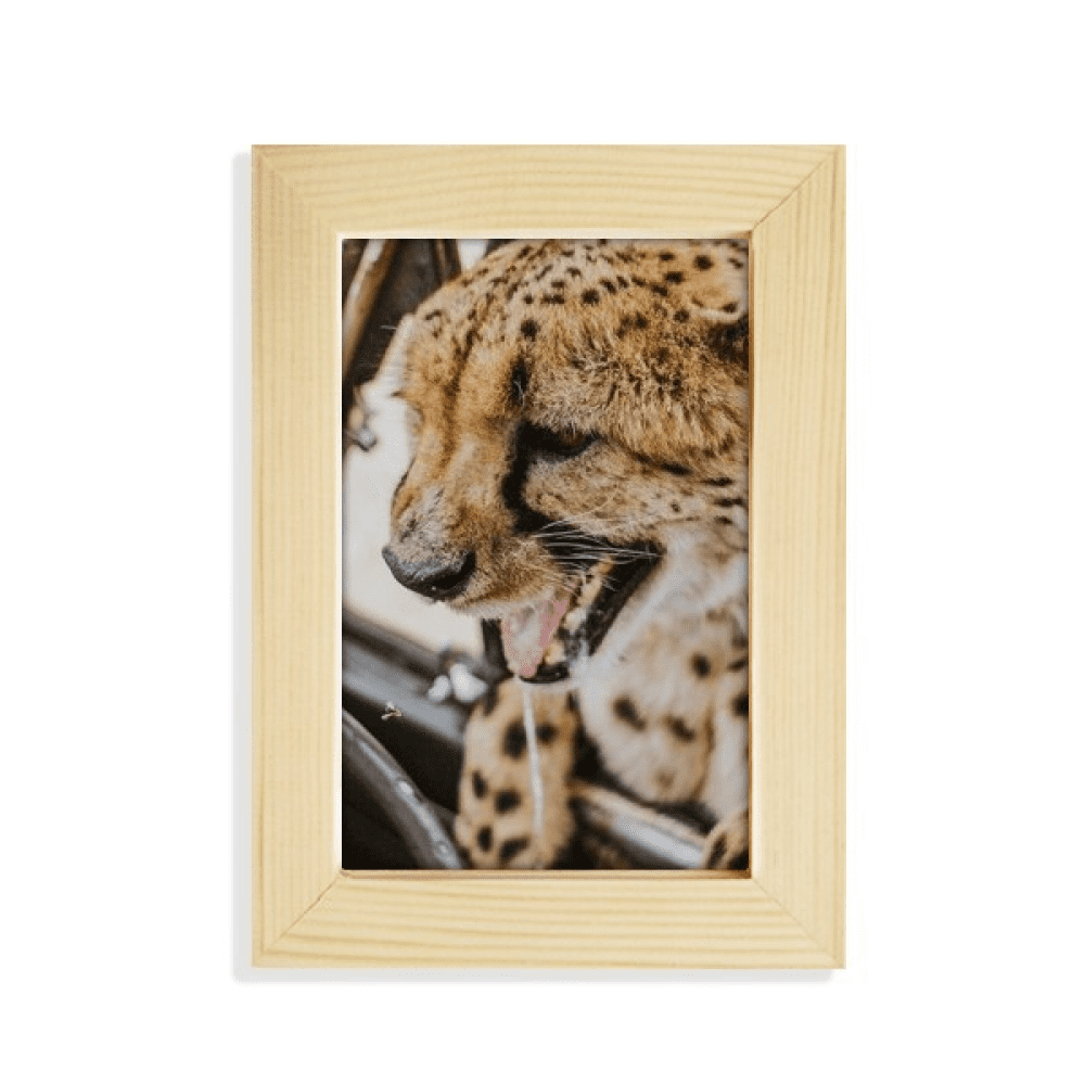 m Animal Leopard Desktop Display Photo Frame Picture Art Painting 5x7 ...