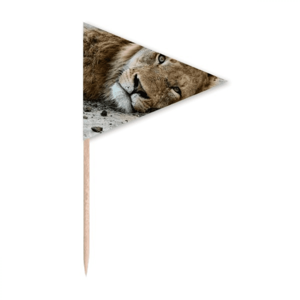 m Animal Lion Toothpick Triangle Cupcake Toppers Flag - Walmart.com