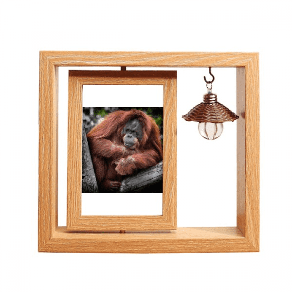 m Animal Orang-utan Wooden Rotating Picture Photo Frame 4x6 - Walmart.com