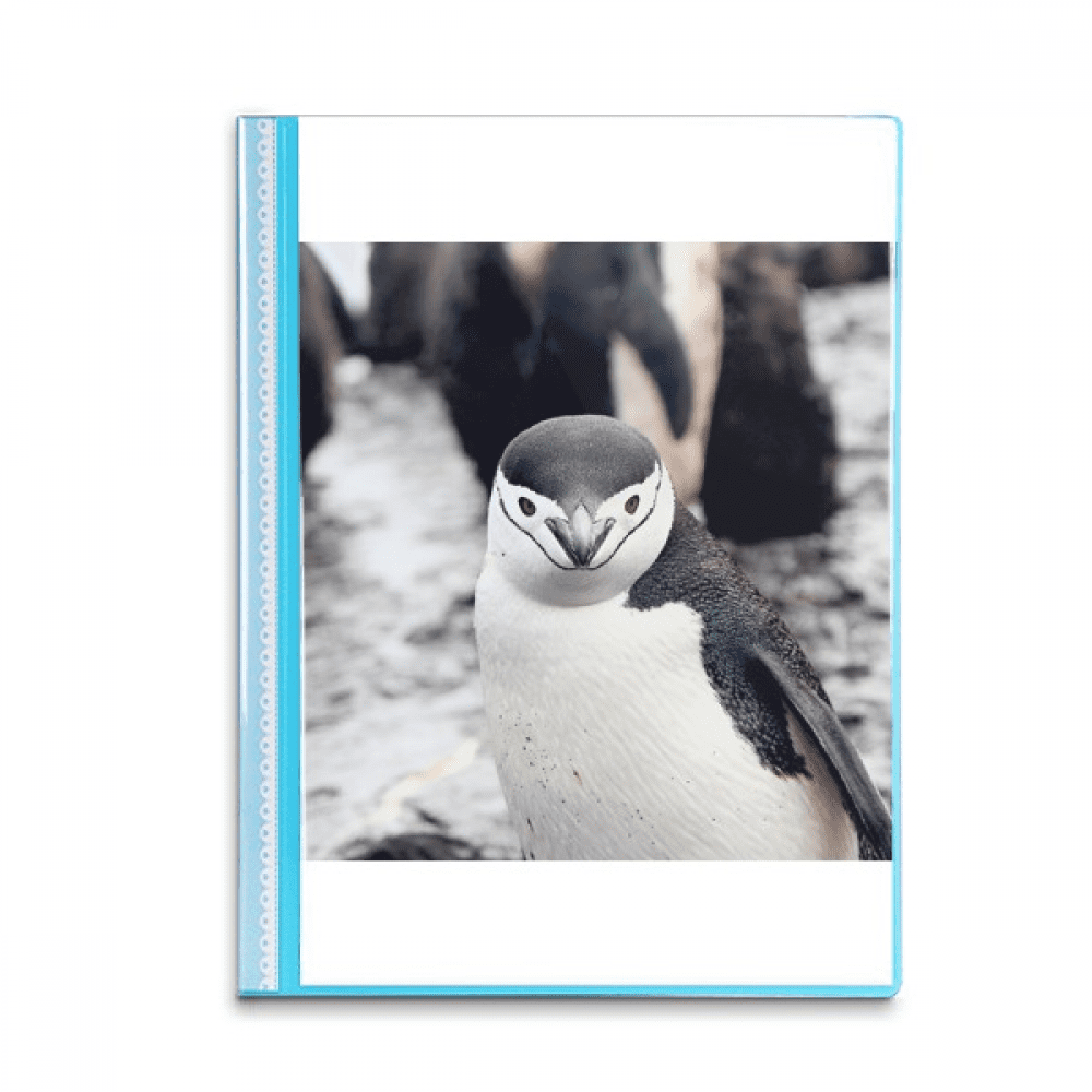 m Animal Penguin Book Sheet Protectors Portfolio Binder Folder ...