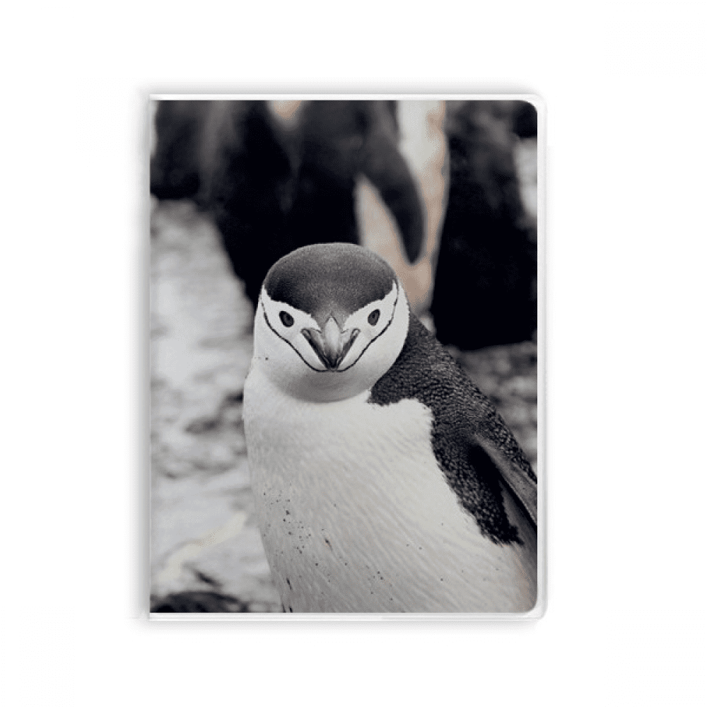 m Animal Penguin Notebook Gum Cover Diary Soft Cover Journal - Walmart.com