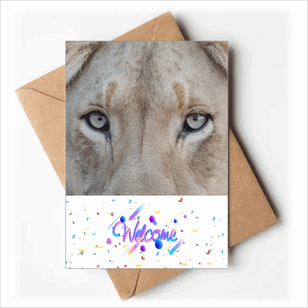 m Animal White Lion Welcome Back Greeting Cards Envelopes Blank ...