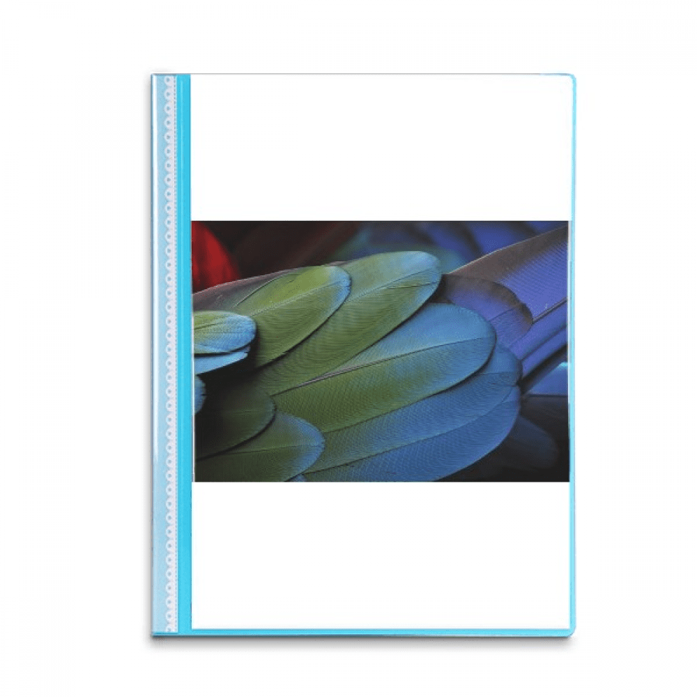 m Bird Feather Book Sheet Protectors Portfolio Binder Folder - Walmart.com