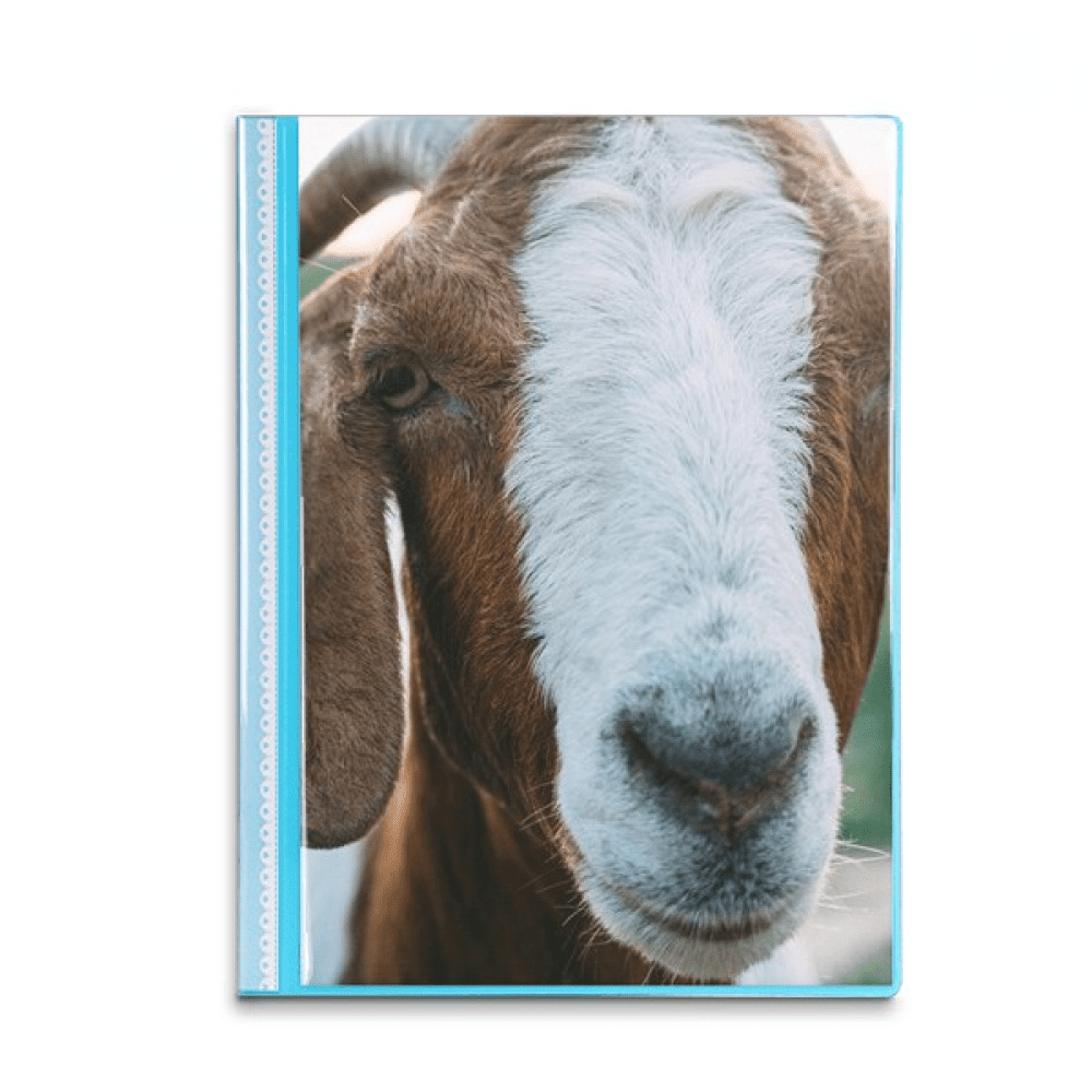 m Sheep Animal Photography Book Sheet Protectors Portfolio Binder ...