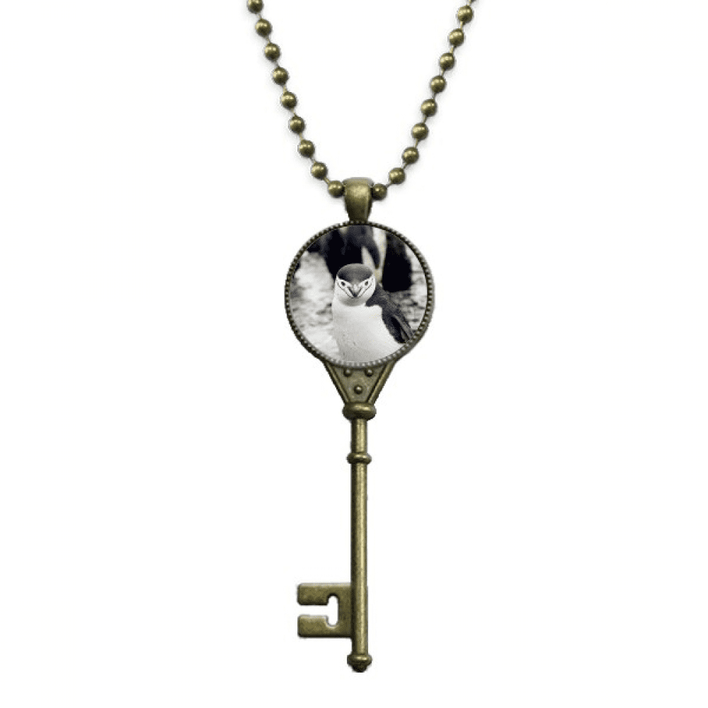 m animal penguin key necklace pendant tray embellished chain - Walmart.com