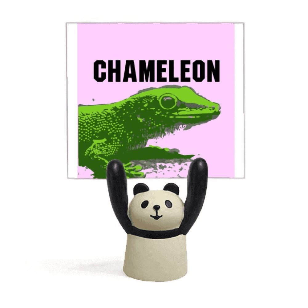madagascar afchameleon Memo Holder Cartoon Animal Panda Stand ...