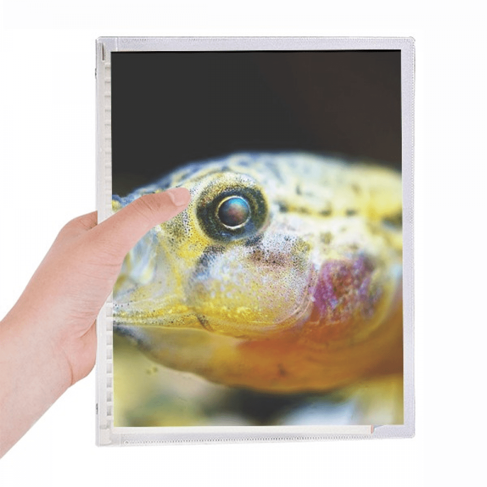 marine organism small tropical fish notebook loose diary refillable ...
