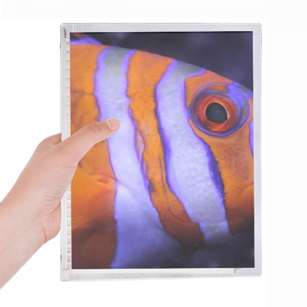 marine organism tropical fish animal notebook loose diary refillable ...