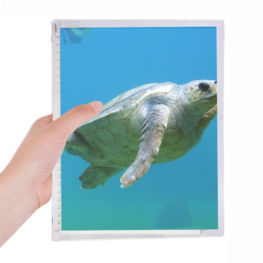 marine organism turtle ocean animal notebook loose diary refillable ...