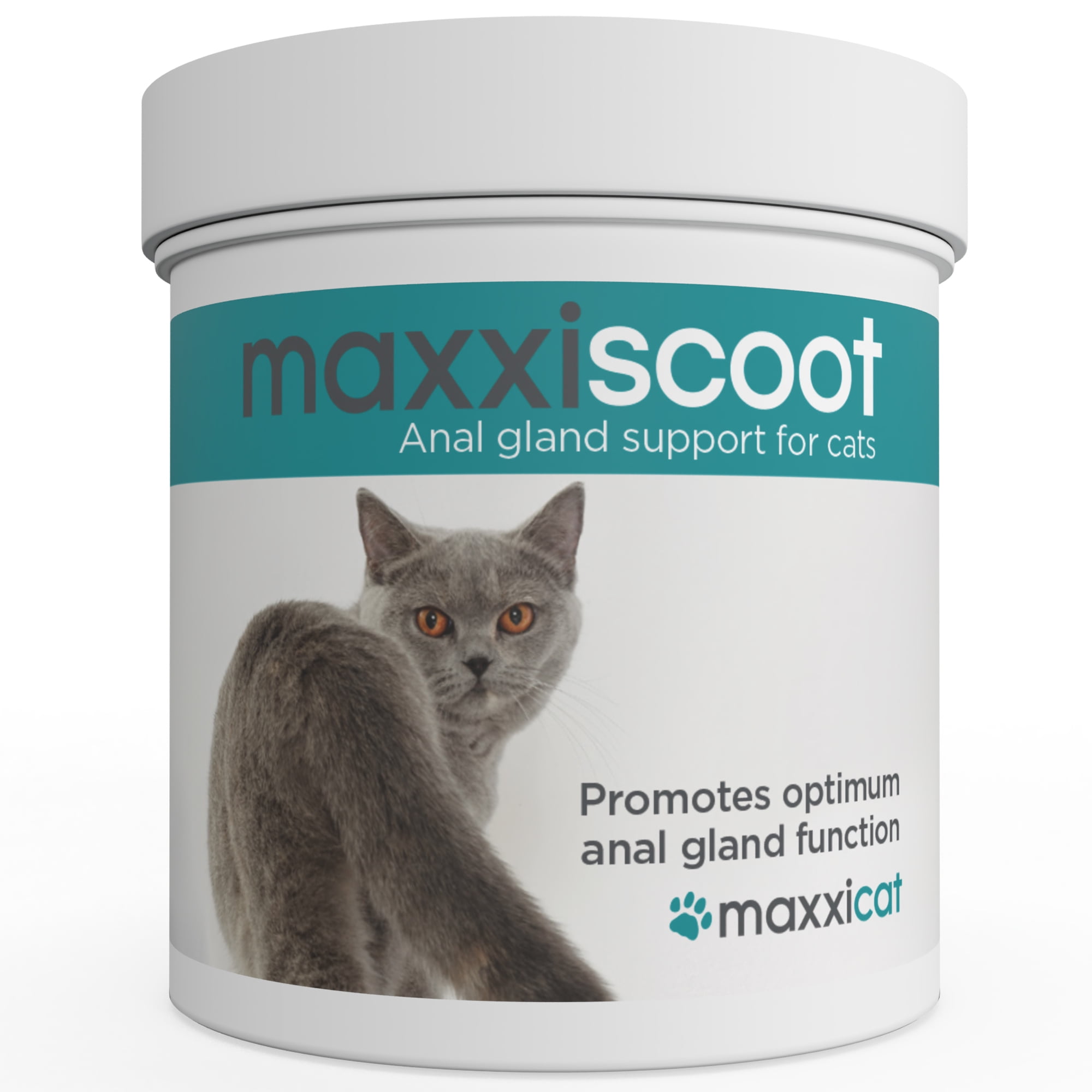 maxxipaws maxxiscoot Anal Gland & Digestive Health Support for Cats - Powder Supplement, 3.2oz ...