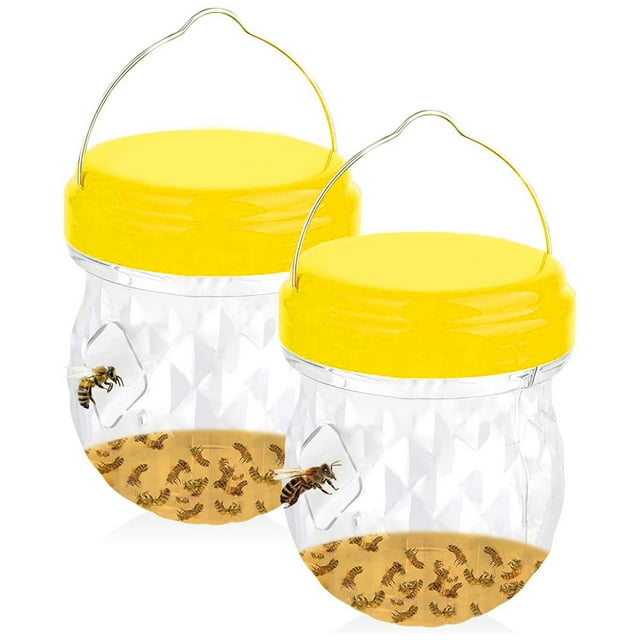 mdesiwst 2Pcs Wasp Traps Large Capacity Waterproof Transparent Reusable ...