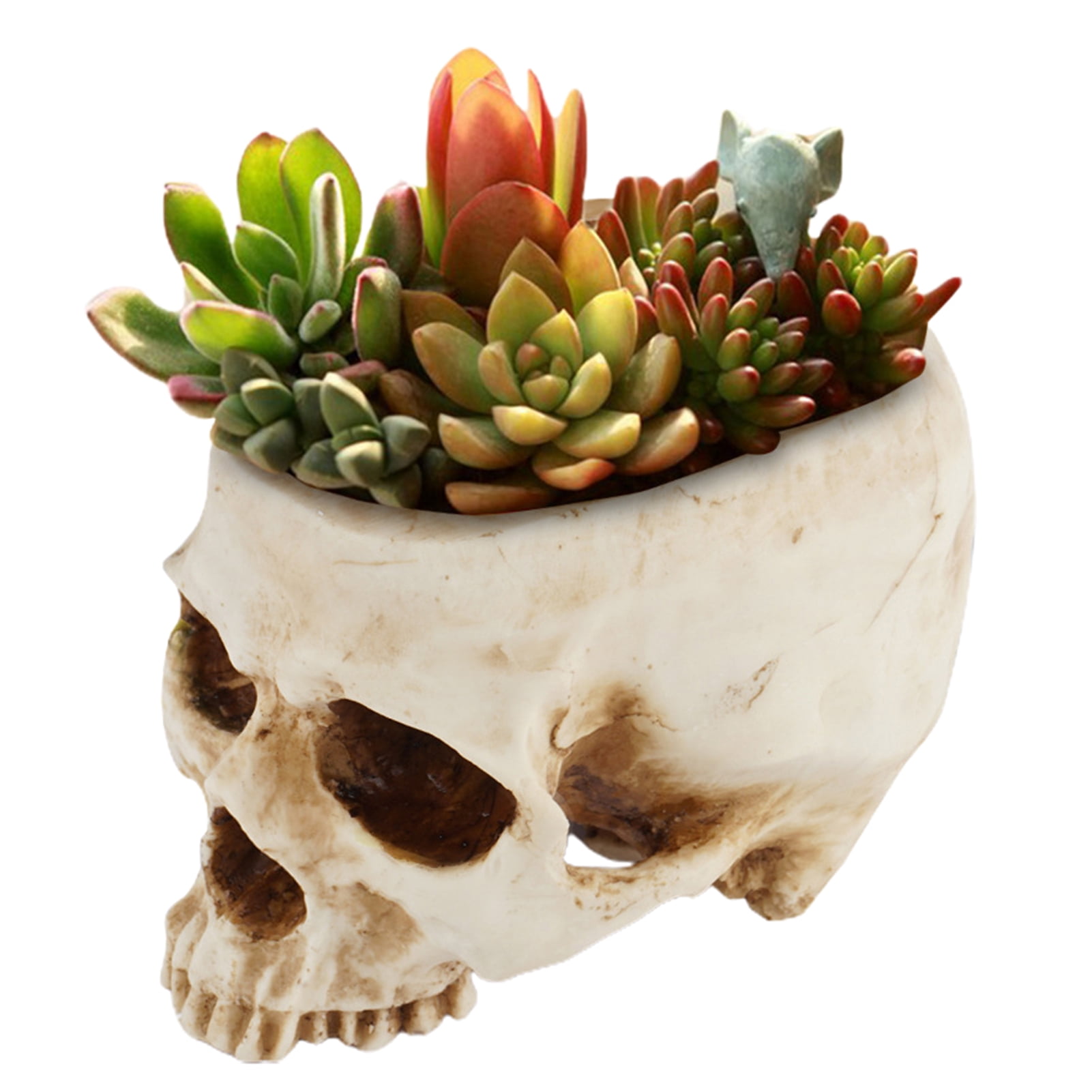 mdesiwst Skull Planter Succulents Plan Pot Resin Flowerpot Halloween ...