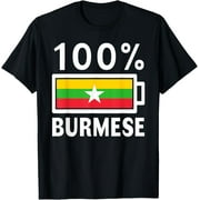 Yanmar Batteries in Yanmar Electrics & Starting - Walmart.com