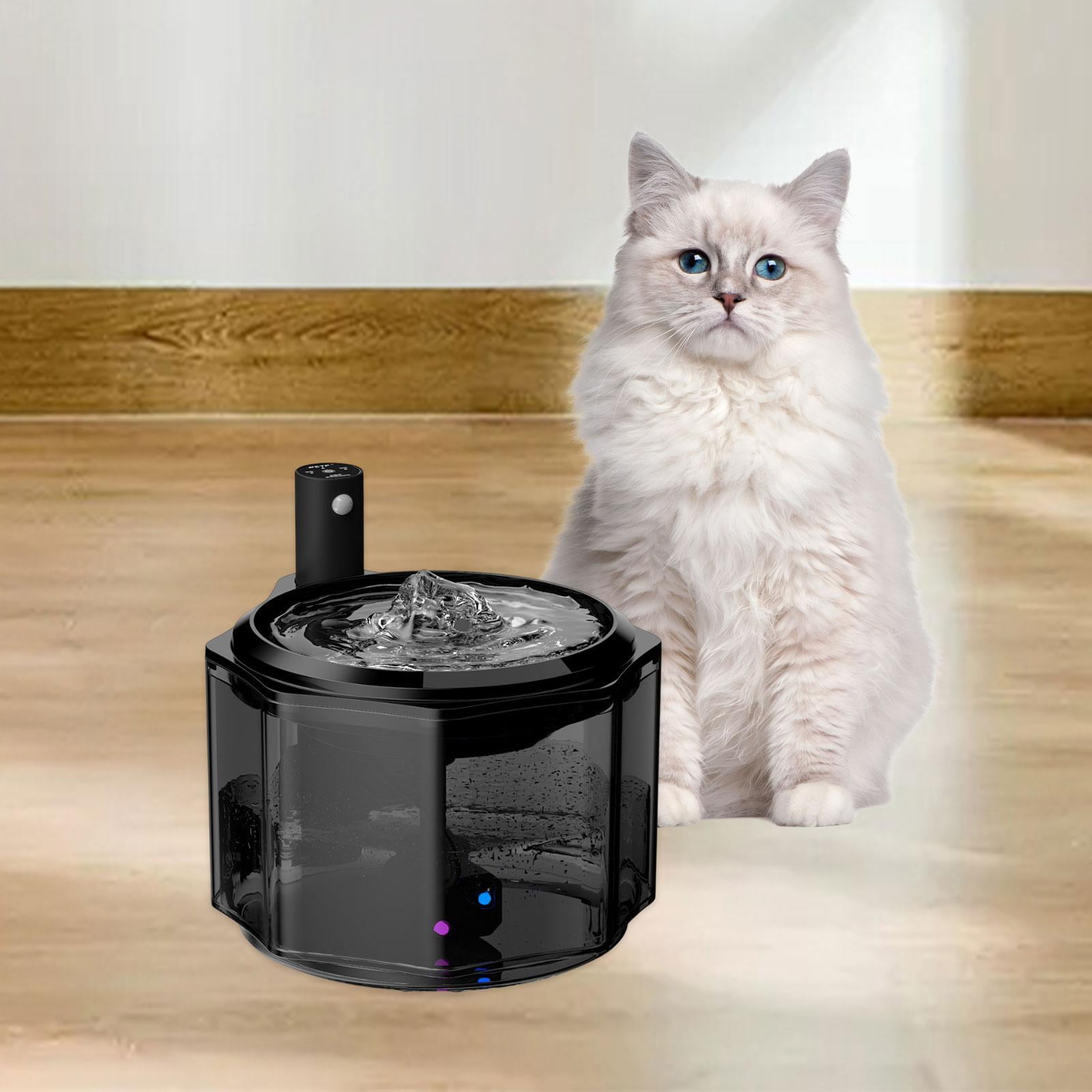 menolana Cat Water Pet Water Filtration,Quiet,Indoor Automatic Cat for ...
