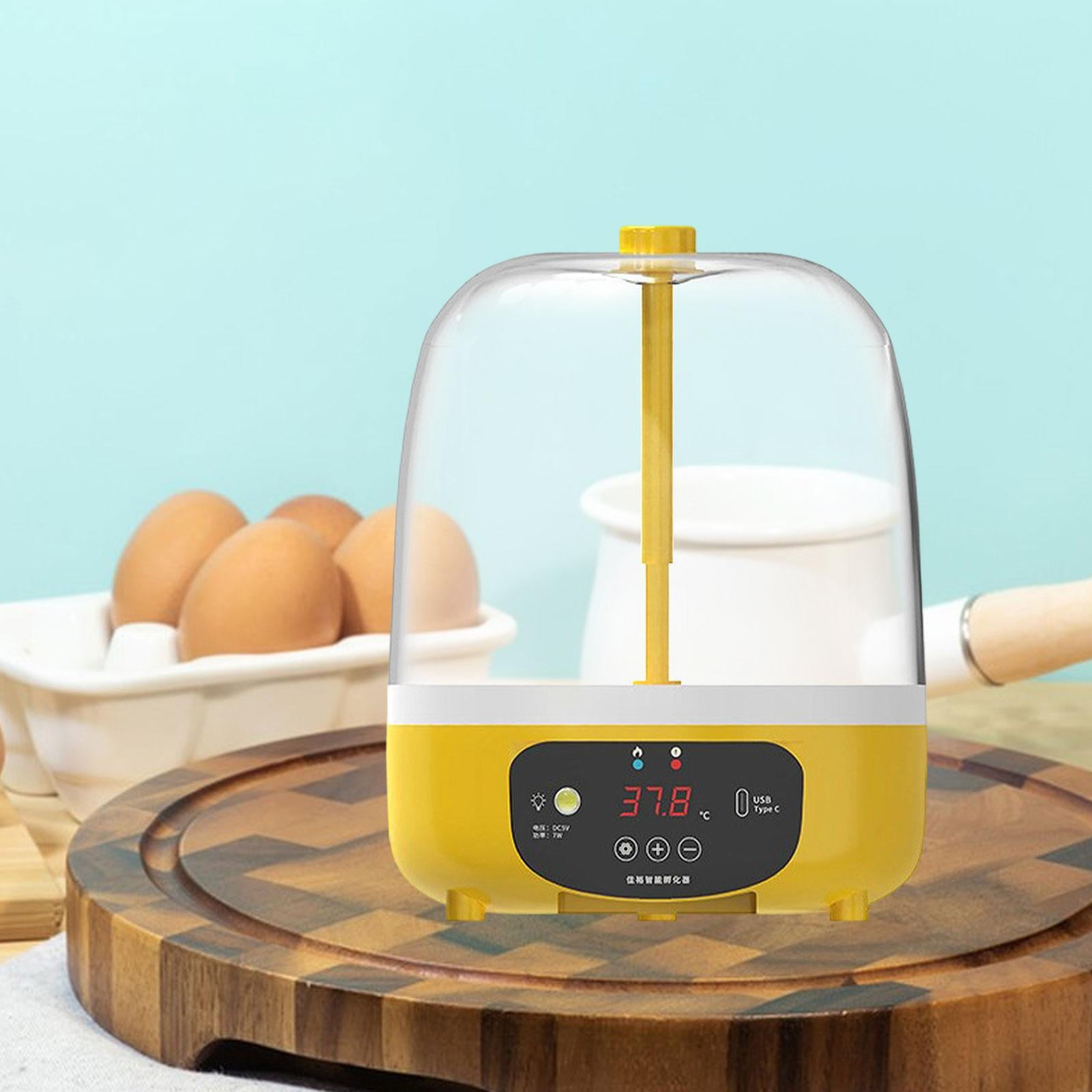 menolana Egg Egg Hatcher US Plug Clear Top Cover Science and Education ...