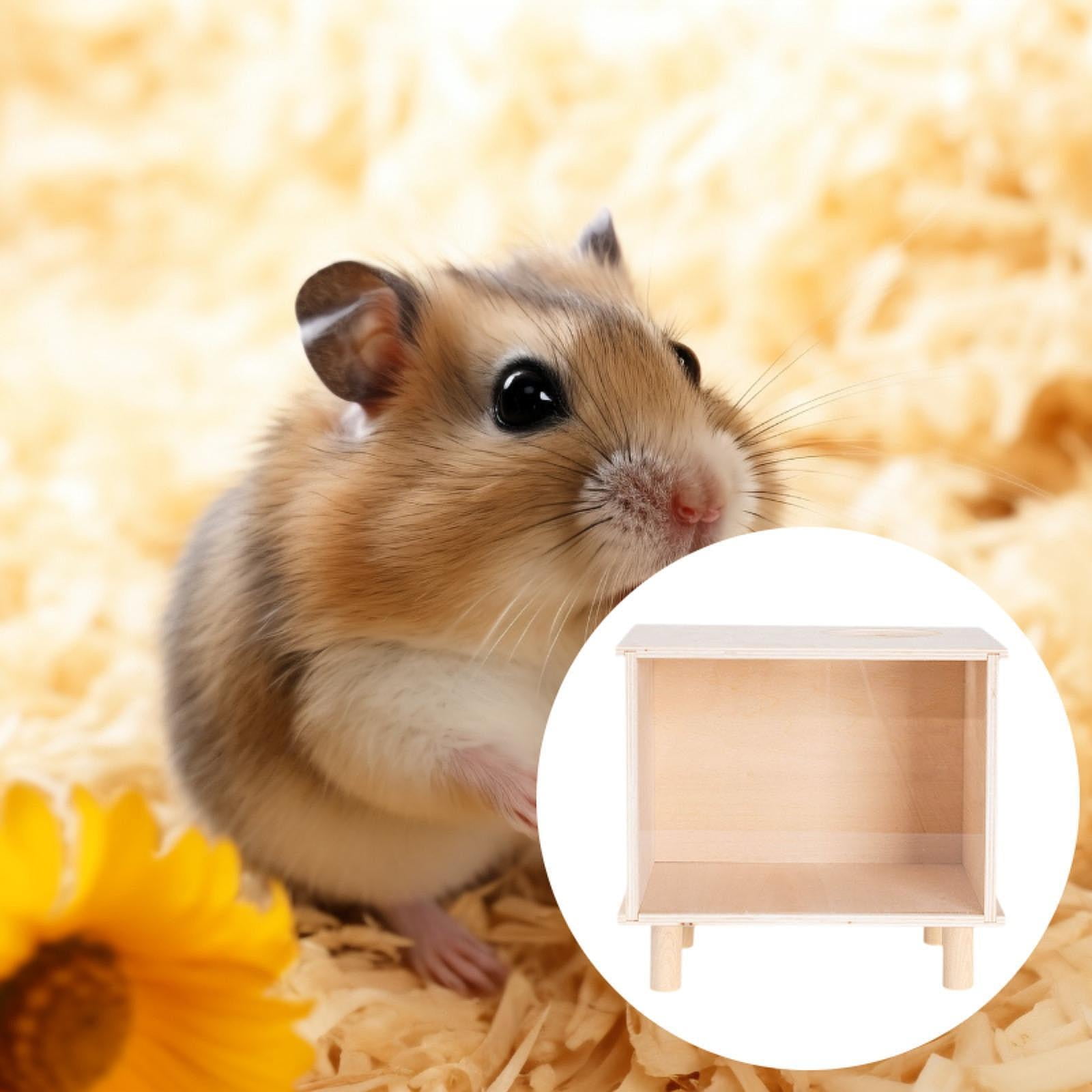 menolana Hamster Digging Box Toy Hamster House for Rat Dwarf Hamster ...