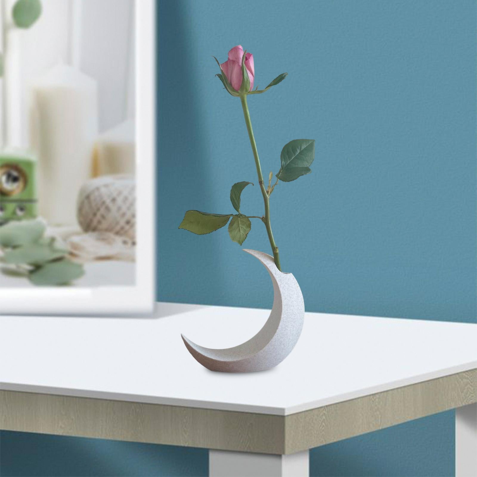 menolana Moon Statue Flower Vase Decorative Vase Novelty Desktop ...