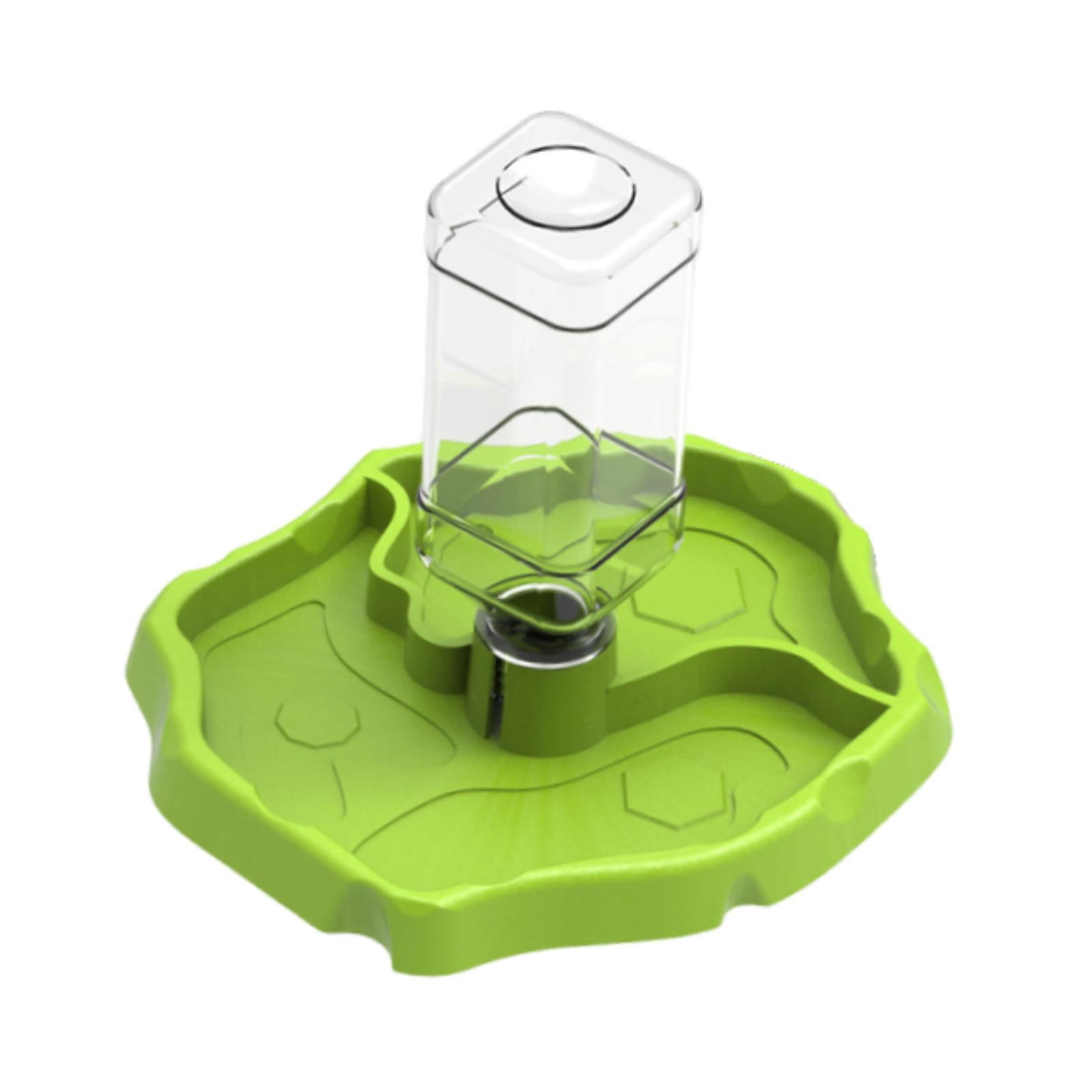 menolana Reptile Feeder Accessory Reptile Food Dish for Bearded Dragon ...