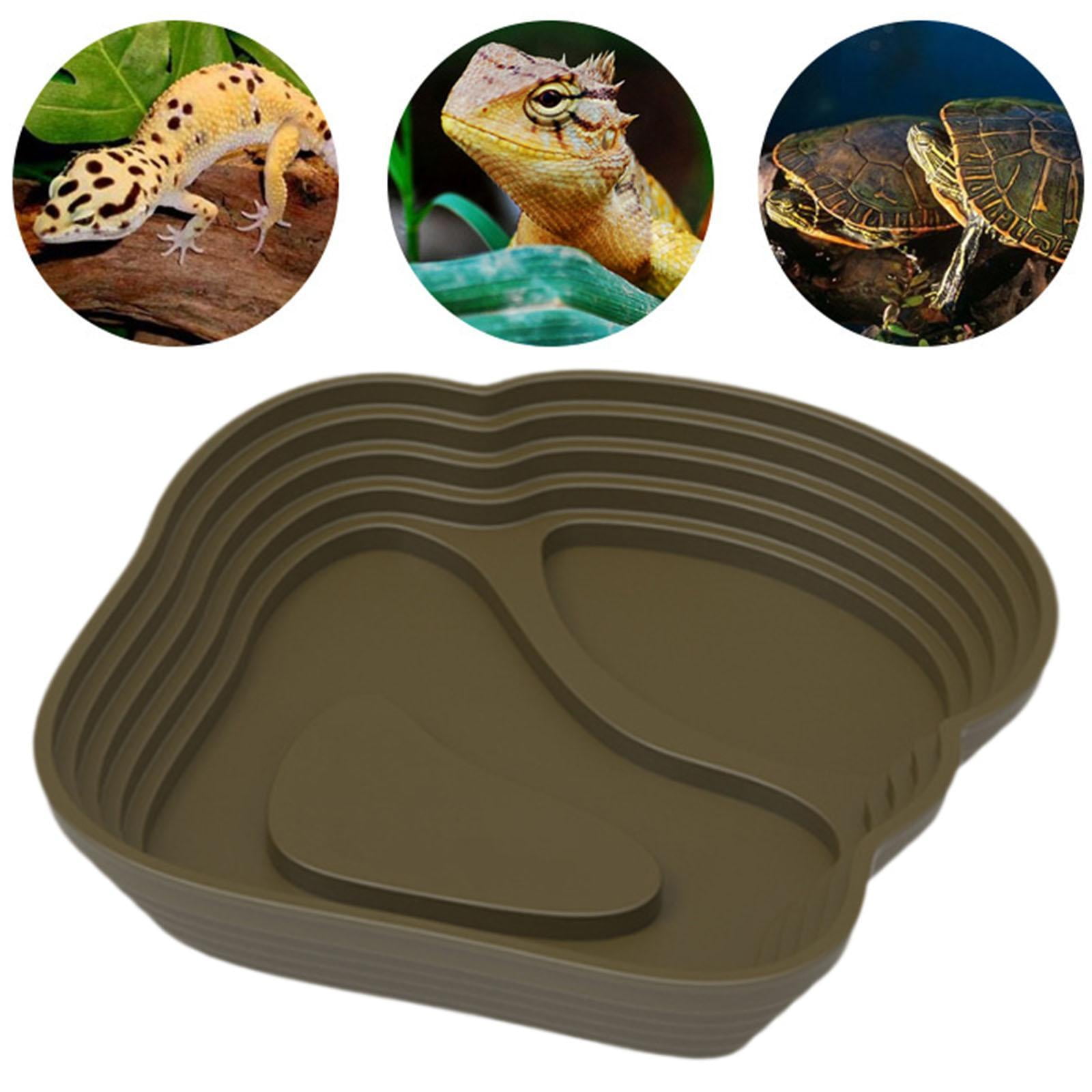 menolana Reptile Feeding Dish Reptile Bathing Dish Pool Habitat Decor ...