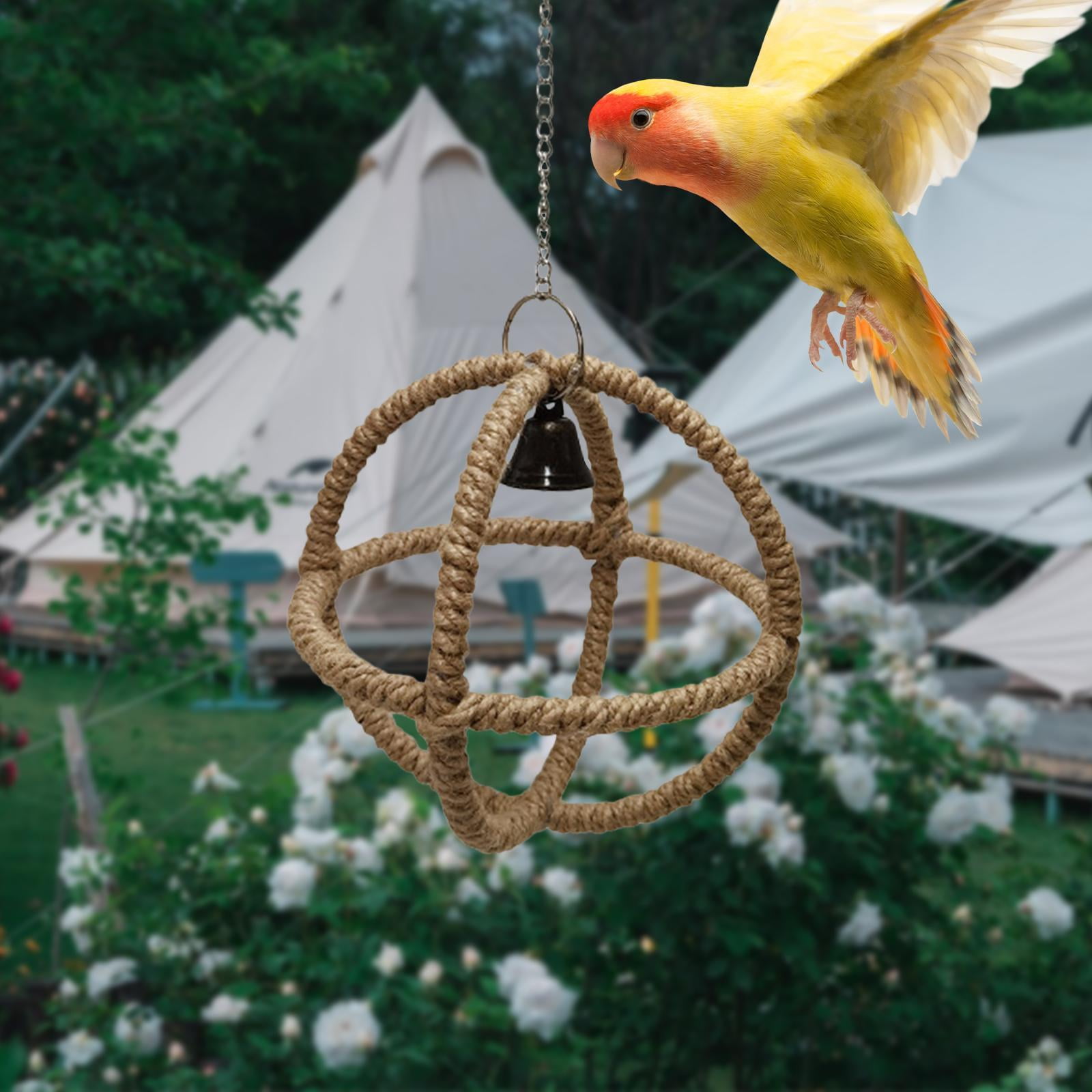 menolana Small Parrot Ball Shaped Swing Parakeets Perches for Budgie ...