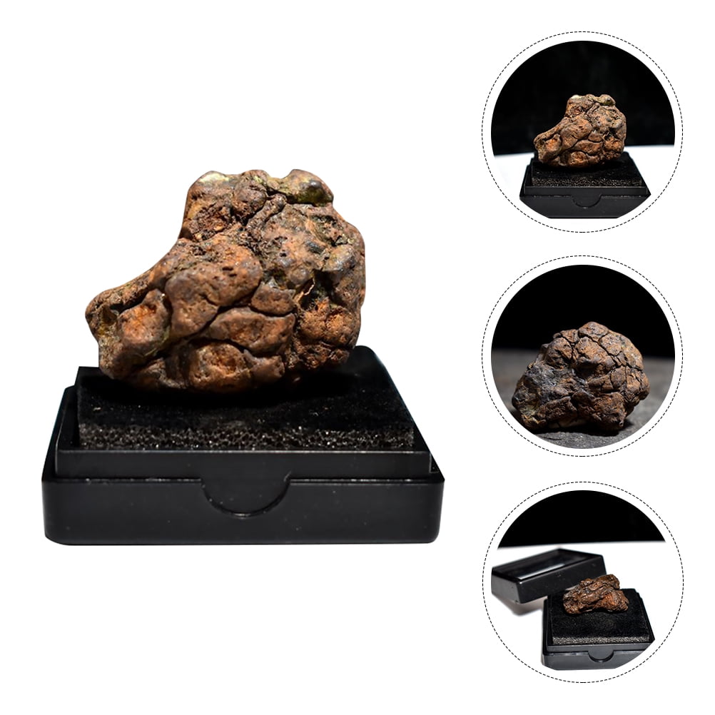 meteorite real space with box meteorite specimen science experiment for ...