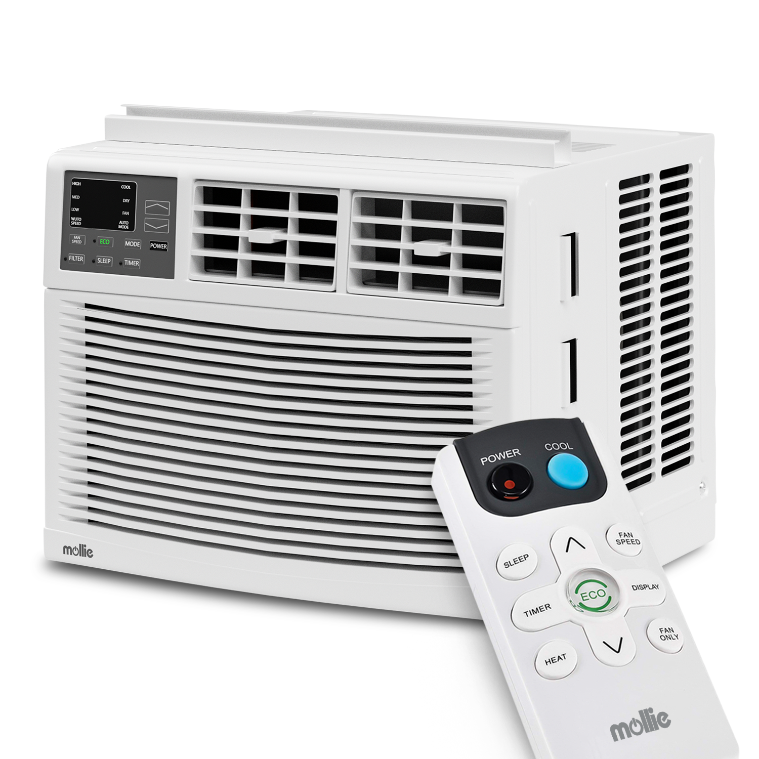 Frigidaire Quiet Temp 6,000 BTU 115V Window-Mounted Air Conditioner ...