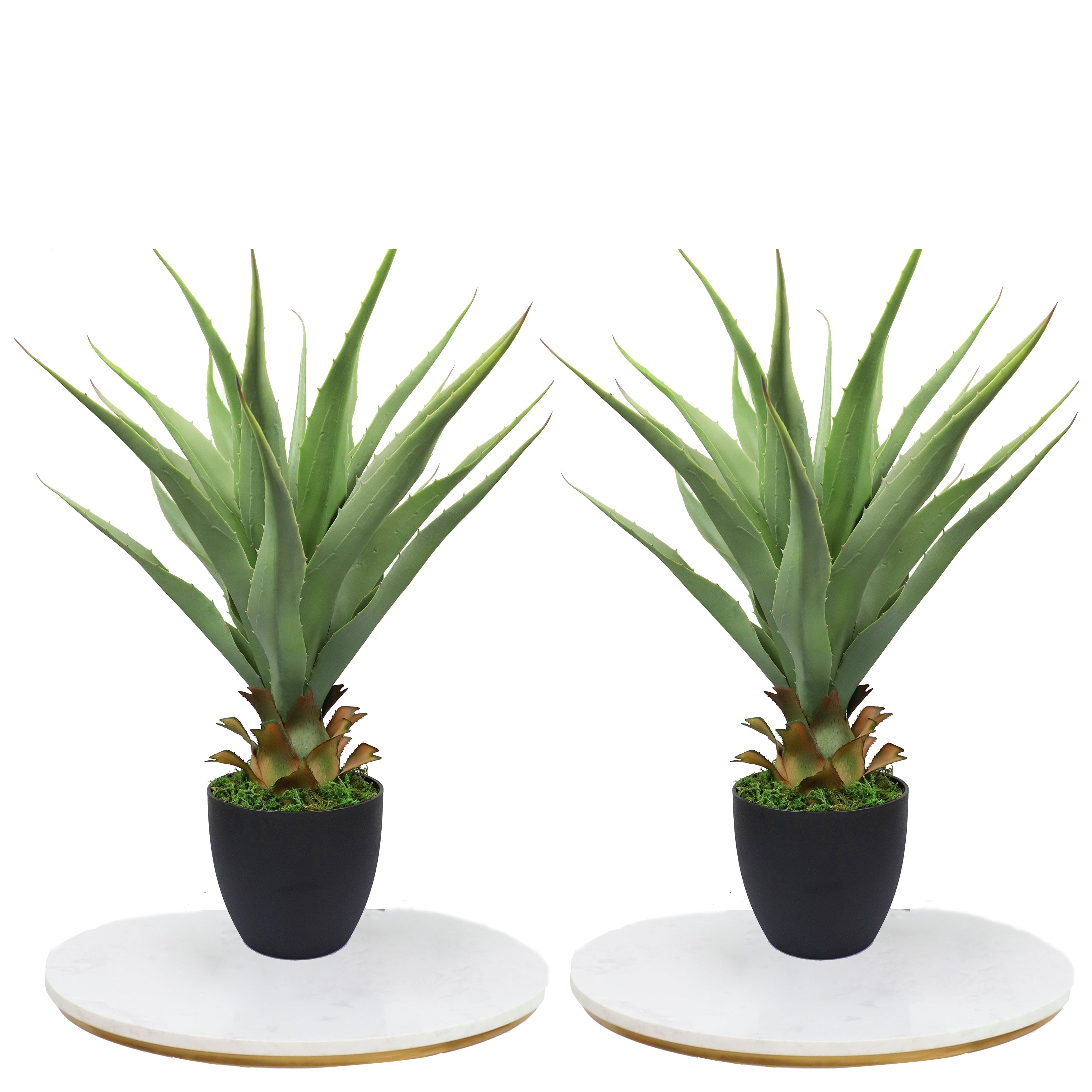 momoplant 27" H Sansevieria Snake Plant - Artificial Agave – Green ...