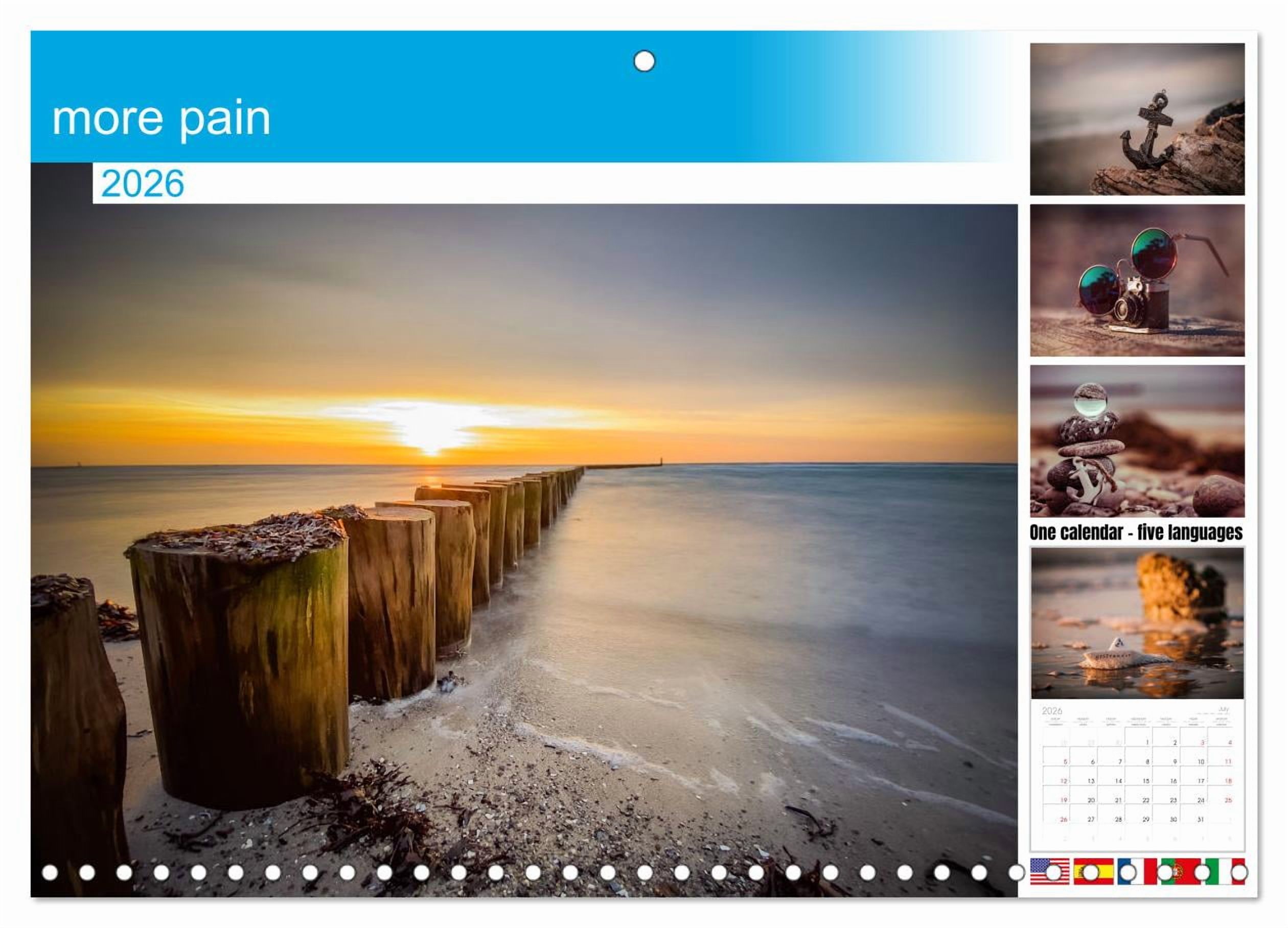 more pain (Monthly Wall Calendar 2026 11.7 x 16.5 (open)), CALVENDO 14 ...