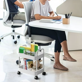 Wheeled Storage Unit