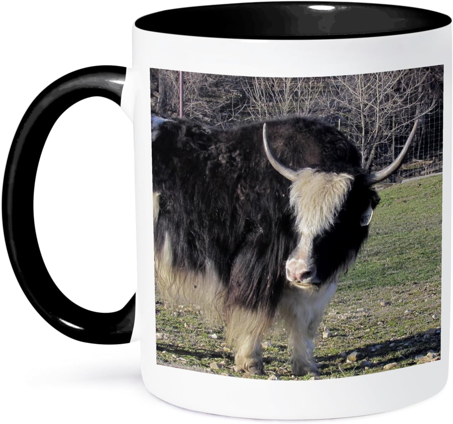 mug_50393_4 "Scottish Highland Cow 2" Two Tone Black Mug, 11 oz ...