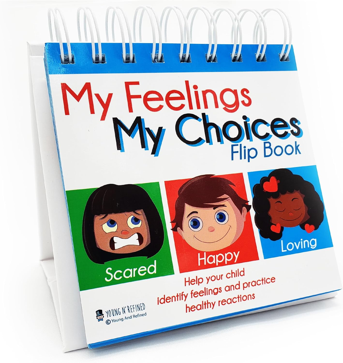 my feelings my choices flip book tool for teaching handling 22 ...