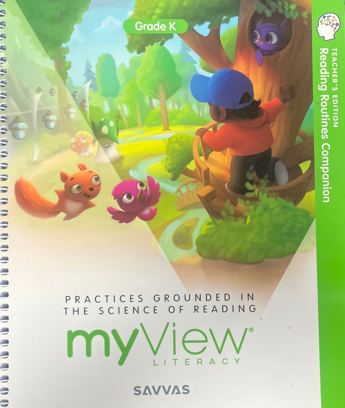 myView Literacy: Reading Routines Companion, Grade K Teacher's Edition ...