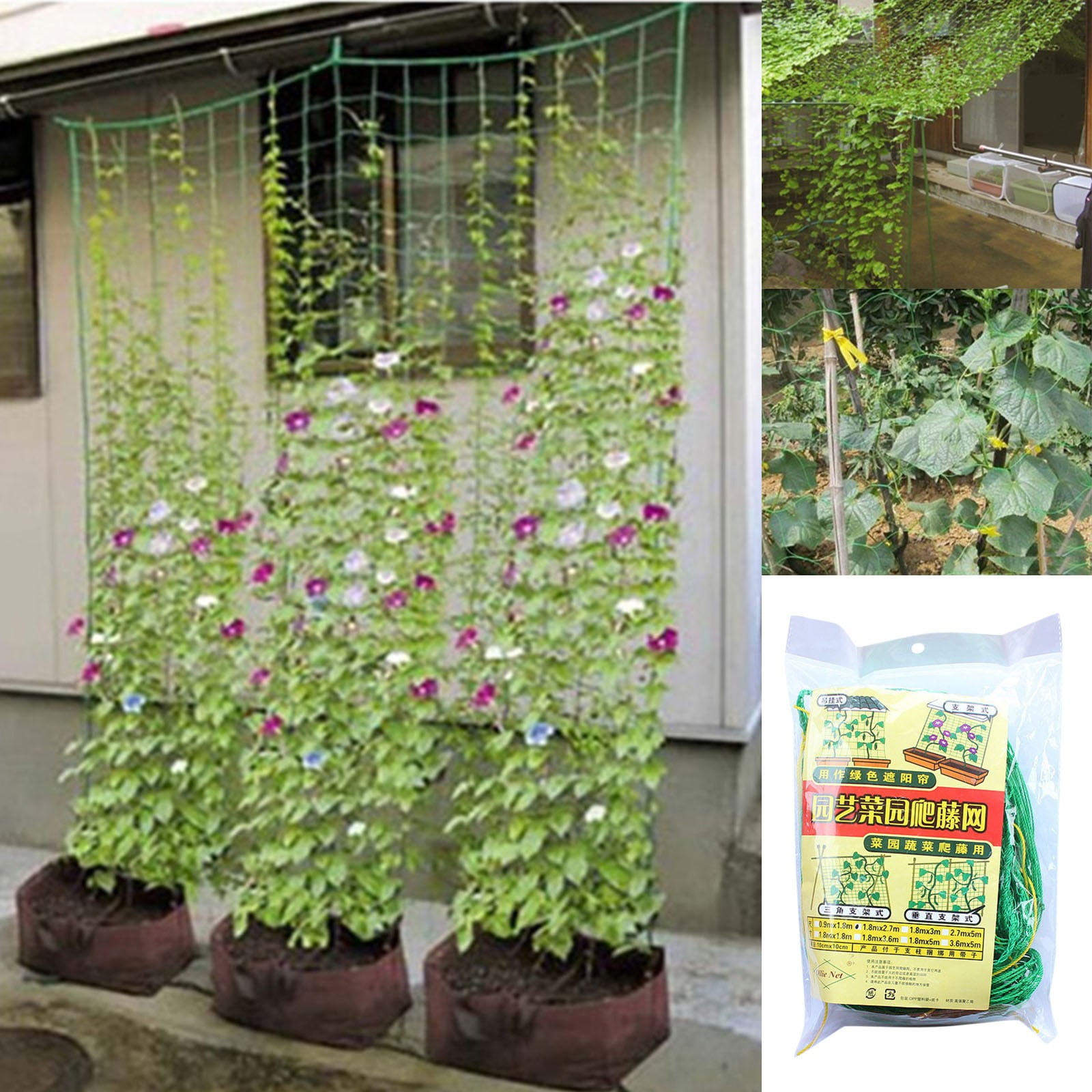 myvepuop 2024 Fruit Morning Glory Vine Net Flower Climbing Vine ...