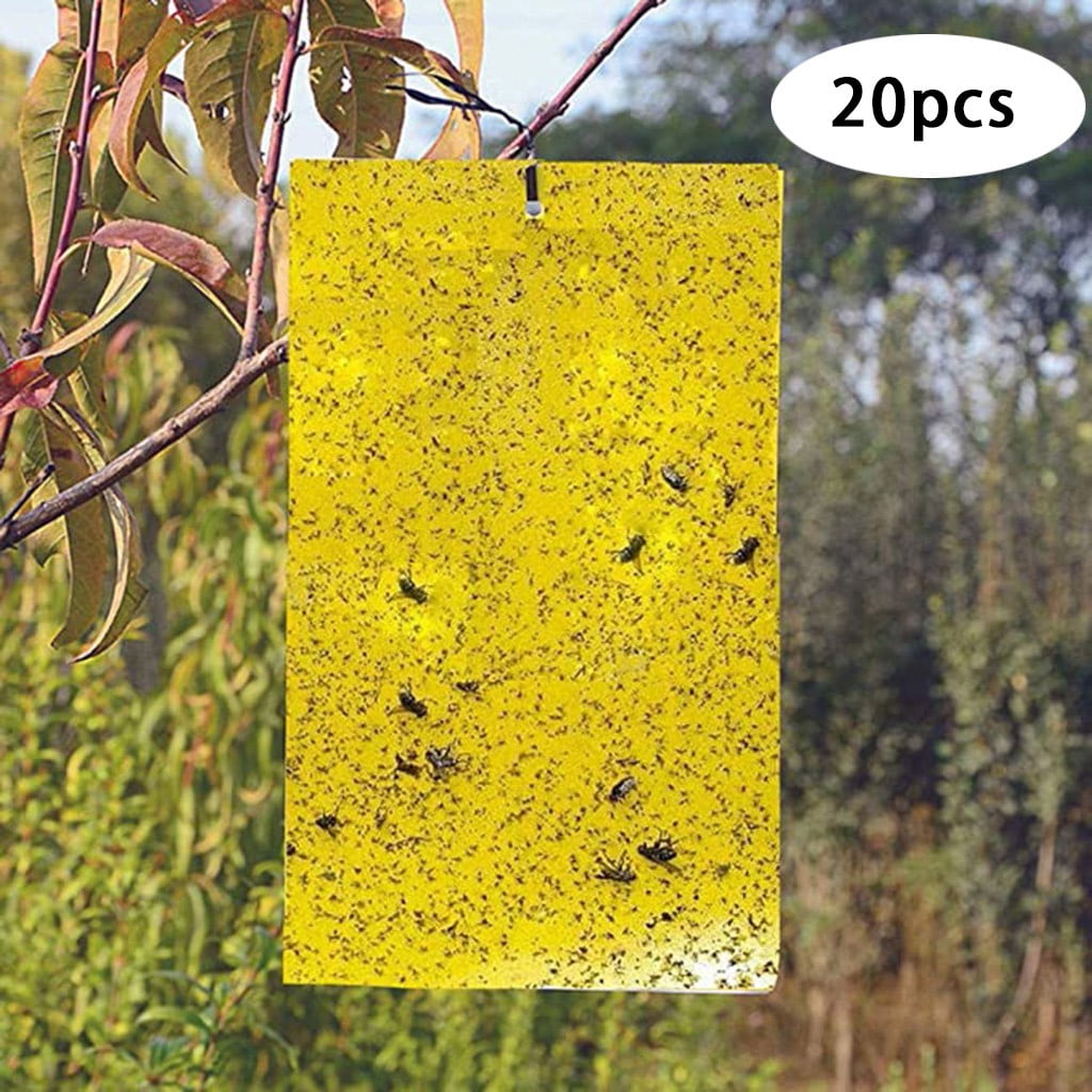myvepuop Insect Traps 10/20/30PC Sided Yellow Sticky Gnat Traps for ...