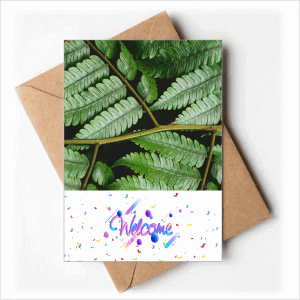 nature photography Welcome Back Greeting Cards Envelopes Blank ...