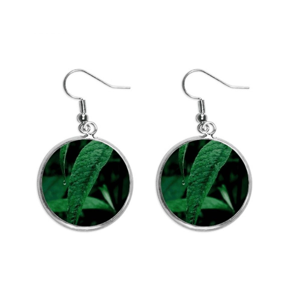 nature photography ear dangle silver drop ear jewelry woman - Walmart.com