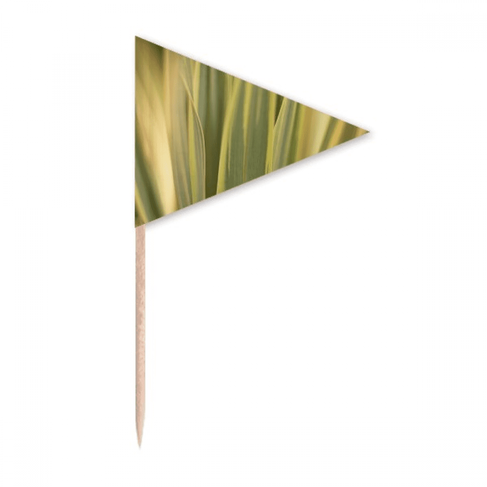 nature picture photo Toothpick Triangle Cupcake Toppers Flag - Walmart.com