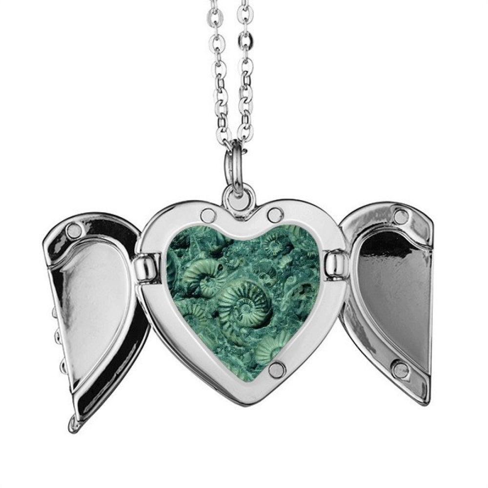 nautilus ammonites s specimen angel wings necklpendant fashion ...