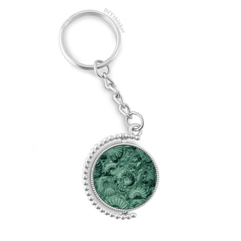 nautilus ammonites s specimen rotatable keyholder disc accessories ...