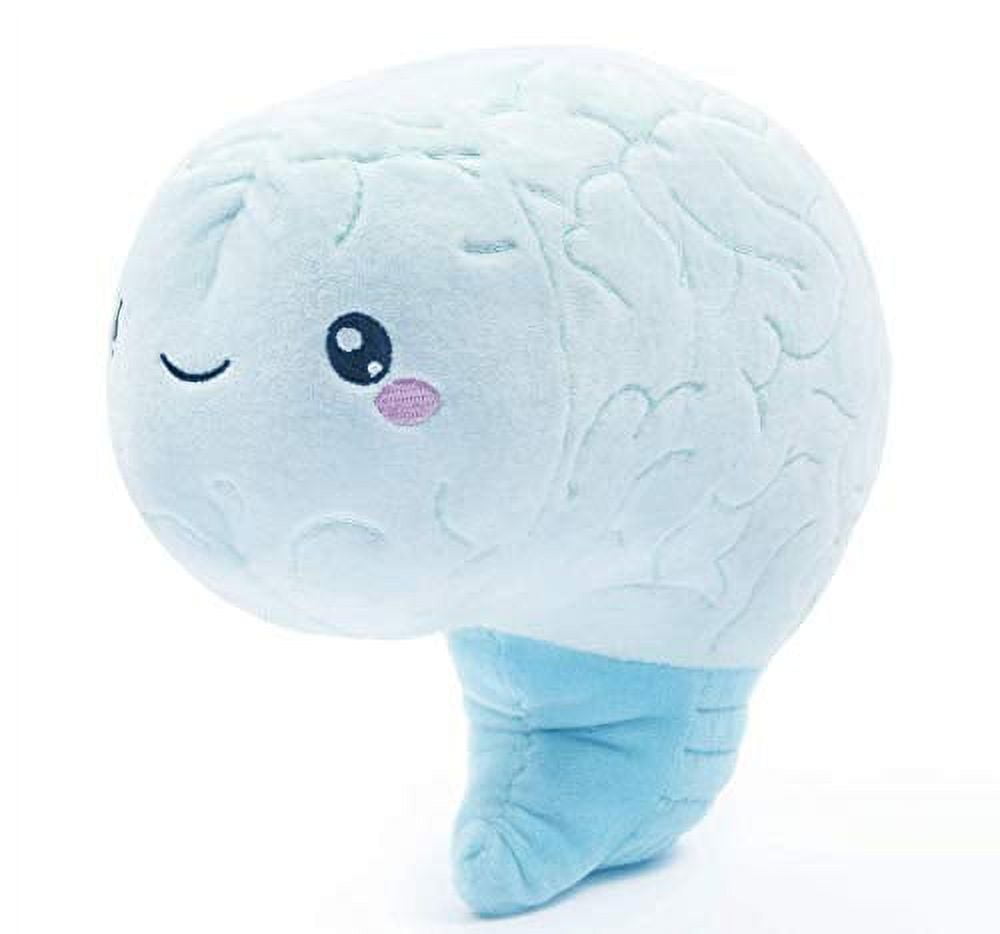 nerdbugs Brain Plush Organ- Love on the Brain- Brain Plush Organ Toy ...
