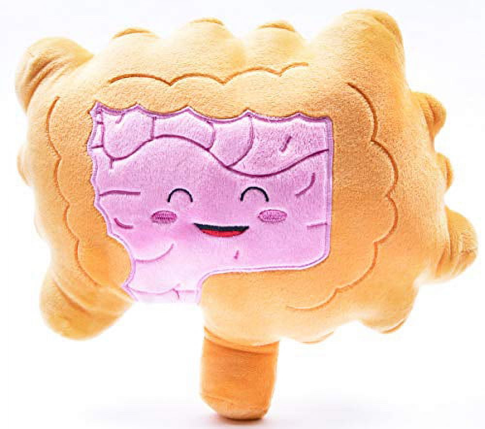 nerdbugs Intestine Plush- Intestined for Greatness-Colon/Intestine ...