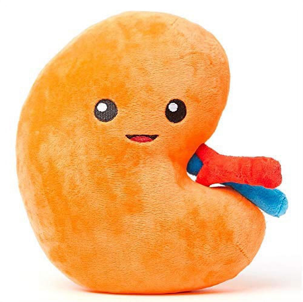 nerdbugs Kidney Plush - Urine for a Treat!- Large Kidney Plush Organ ...