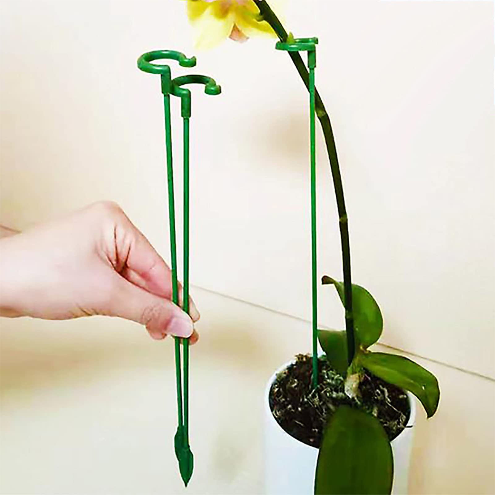 npkgvia Gardening Supplies，10Pcs Garden Single Stem Support Stake Plant ...