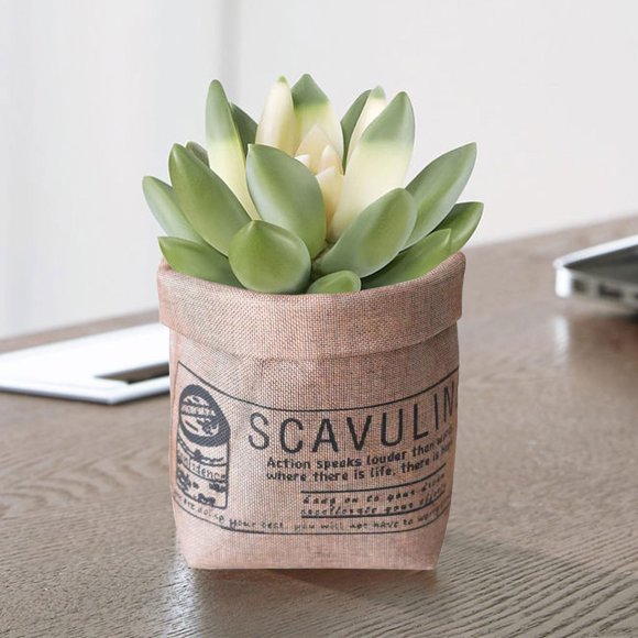 Cardboard Plant Pots