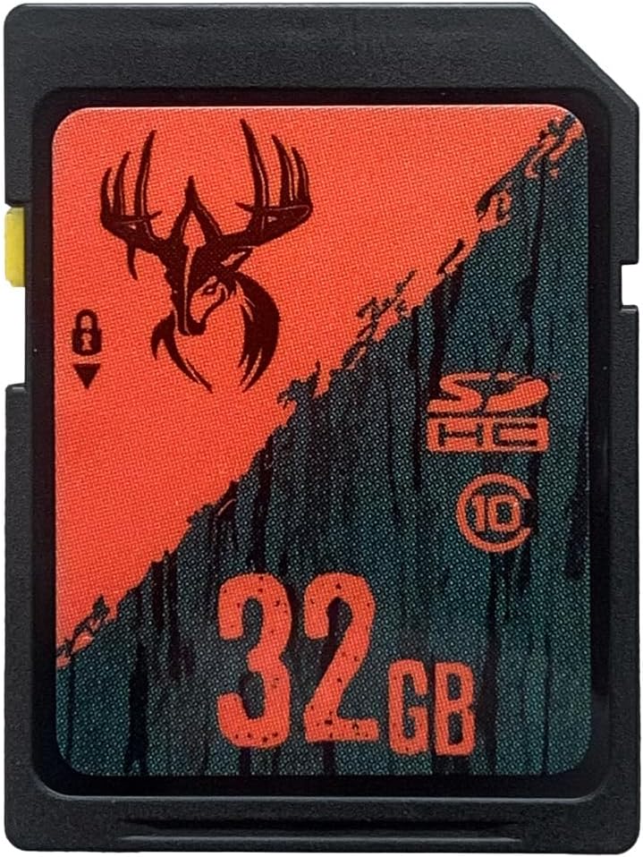 ns 32GB SD Memory Card 10MB/Sec Class 10 SD Card Compatible with Most ...